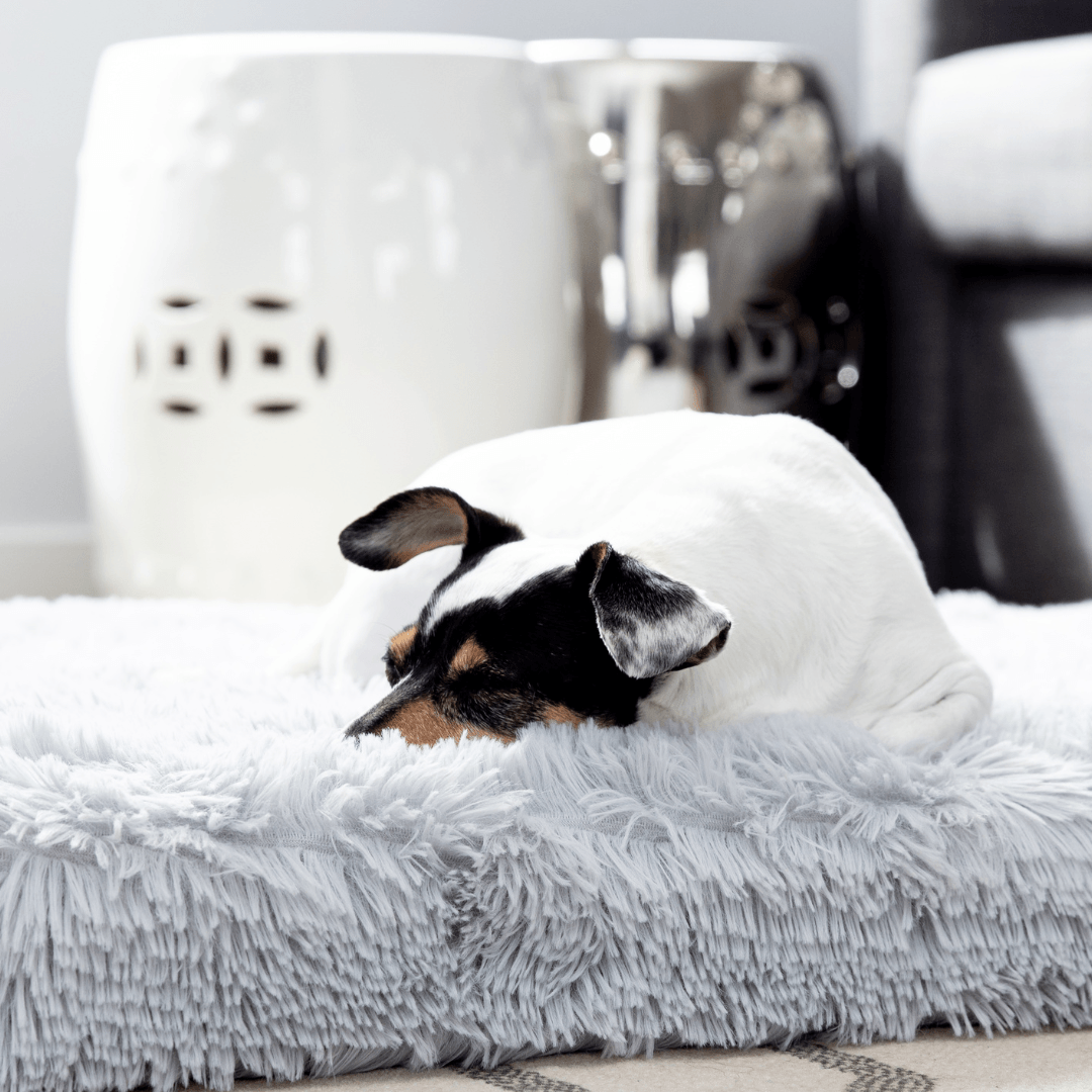 Foam and Pocket Spring Mattress In A Box | Teddy Bed – teddybed
